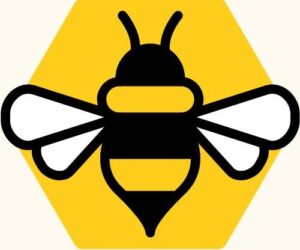 Mastering Hive Types: A Comprehensive Guide - Beekeeper Corner