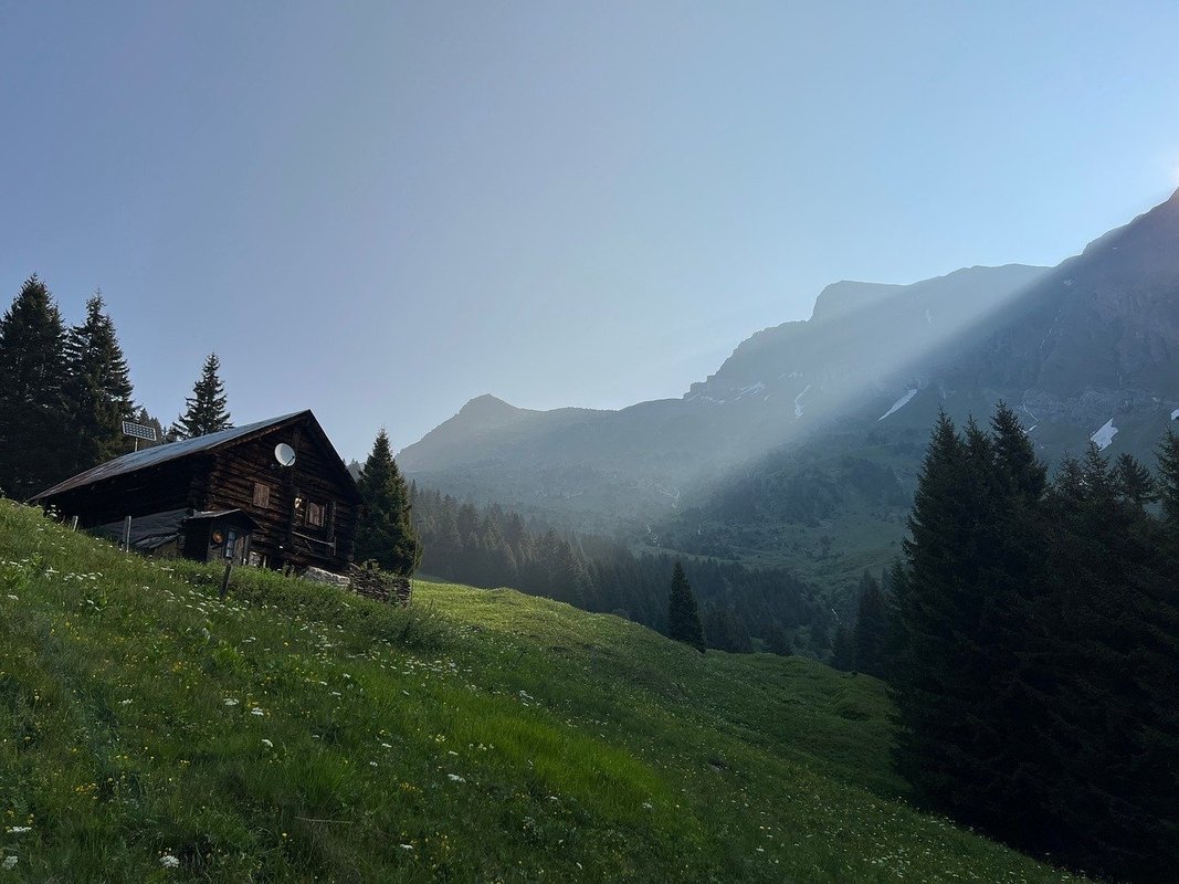 Boost Honey Production with an 8 Frame Top Feeder - Beekeeper Corner