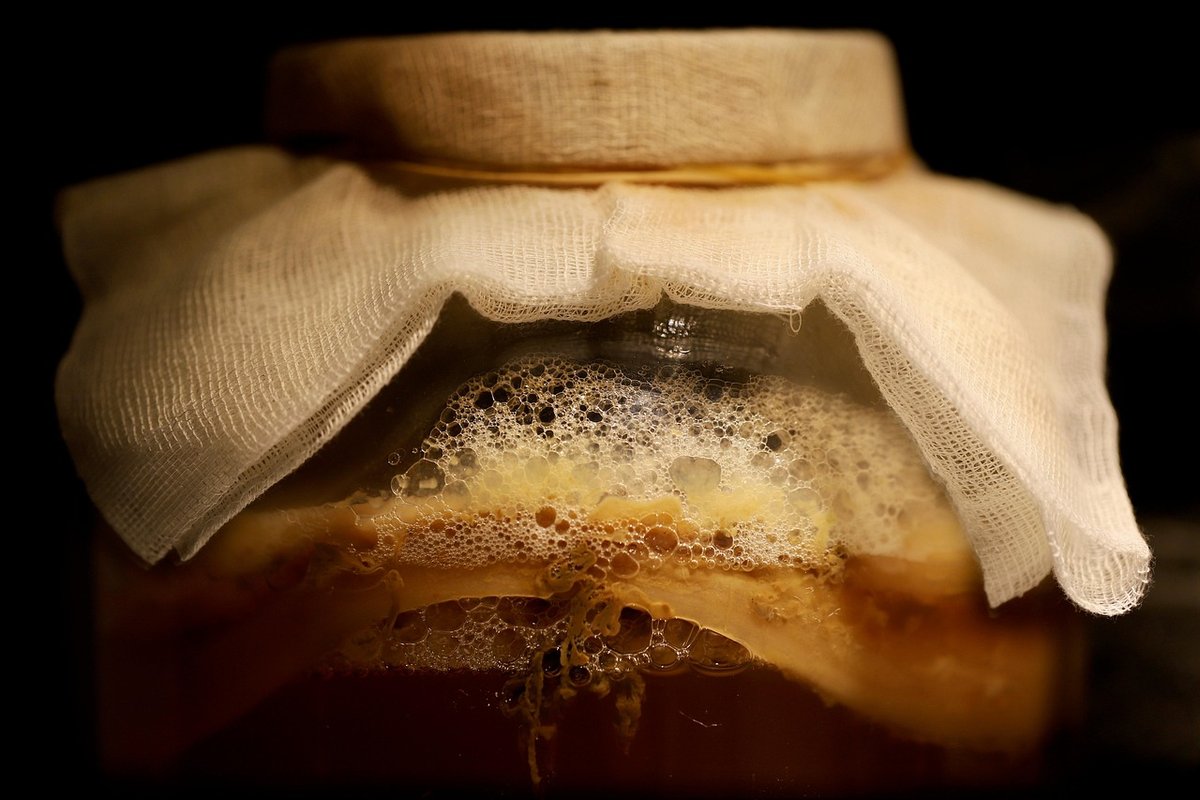 Mastering Mead Fermentation: A Step-by-Step Guide - Beekeeper Corner