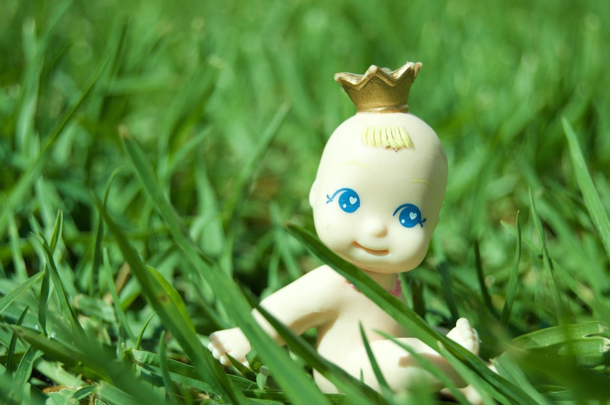 Boost Beekeeping with Plastic Queen Excluders Benefits - Beekeeper Corner