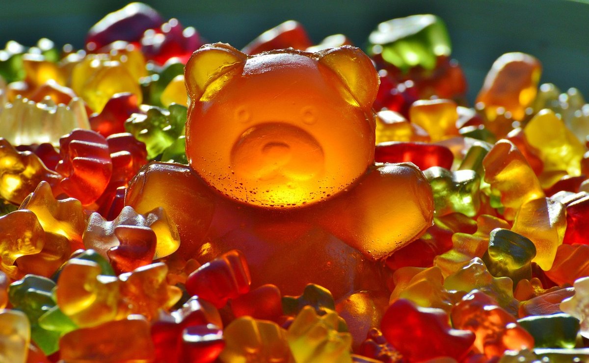 Protect Your Apiary from Bear Attacks: A Comprehensive Guide ...
