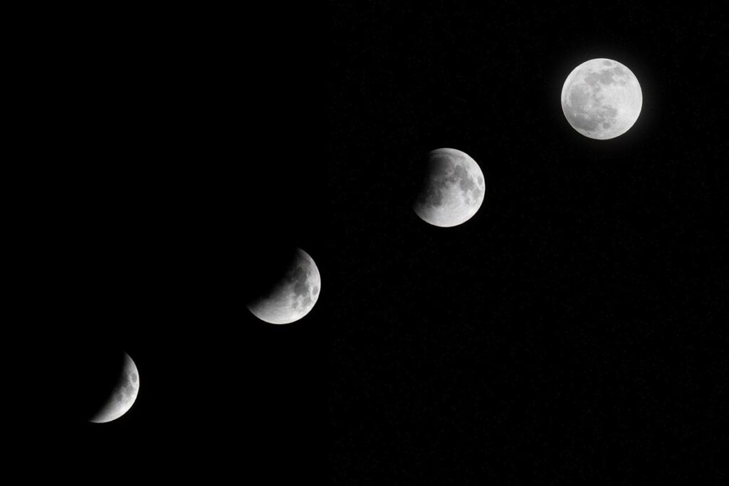 How Moon Phases Affect Bee Behavior and Pollination - Beekeeper Corner