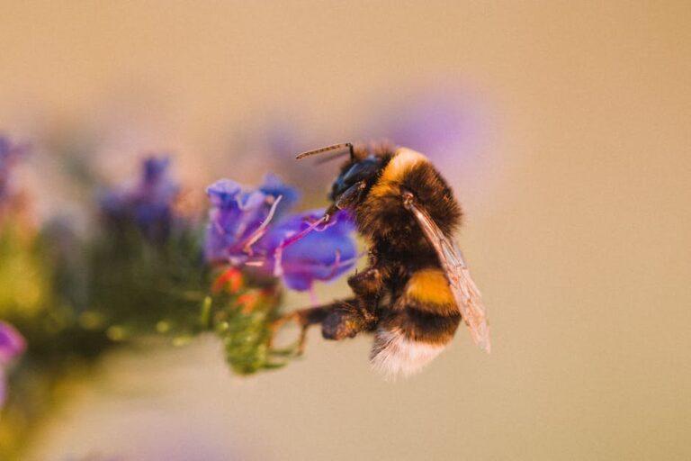 Light Pollutions Hidden Threat to Bees and Ecosystems - Beekeeper Corner